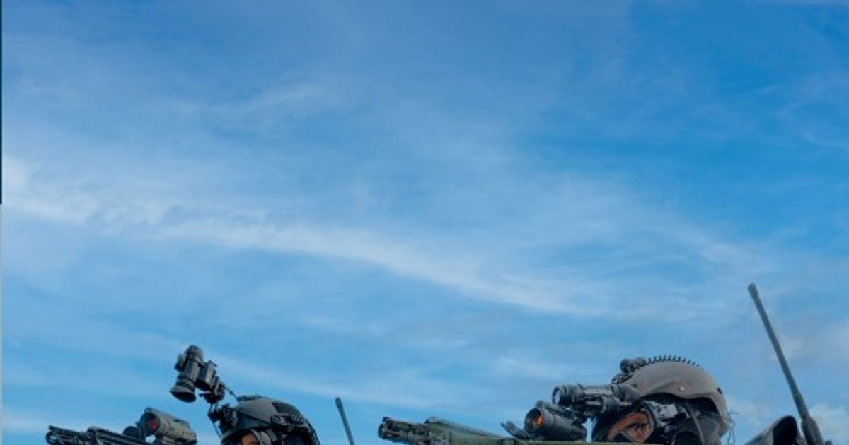 Zonder vrees, zonder overmoed. Vorming en inzet van de NLMARSOF ...